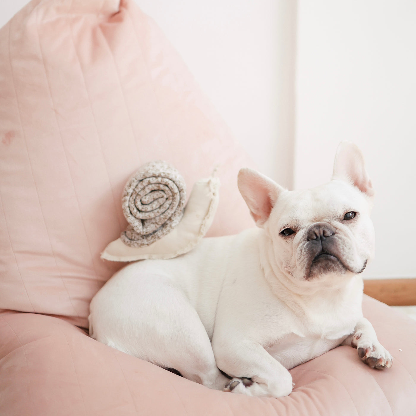 SNAIL - Enrichment and Interactive Dog Toy | Puzzle Dog Toy