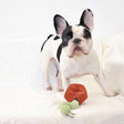 APPLE - Enrichment and Interactive Dog Toy | Puzzle Dog Toy