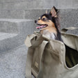 SUBWAY - Dog Carrier | Pet Carrier