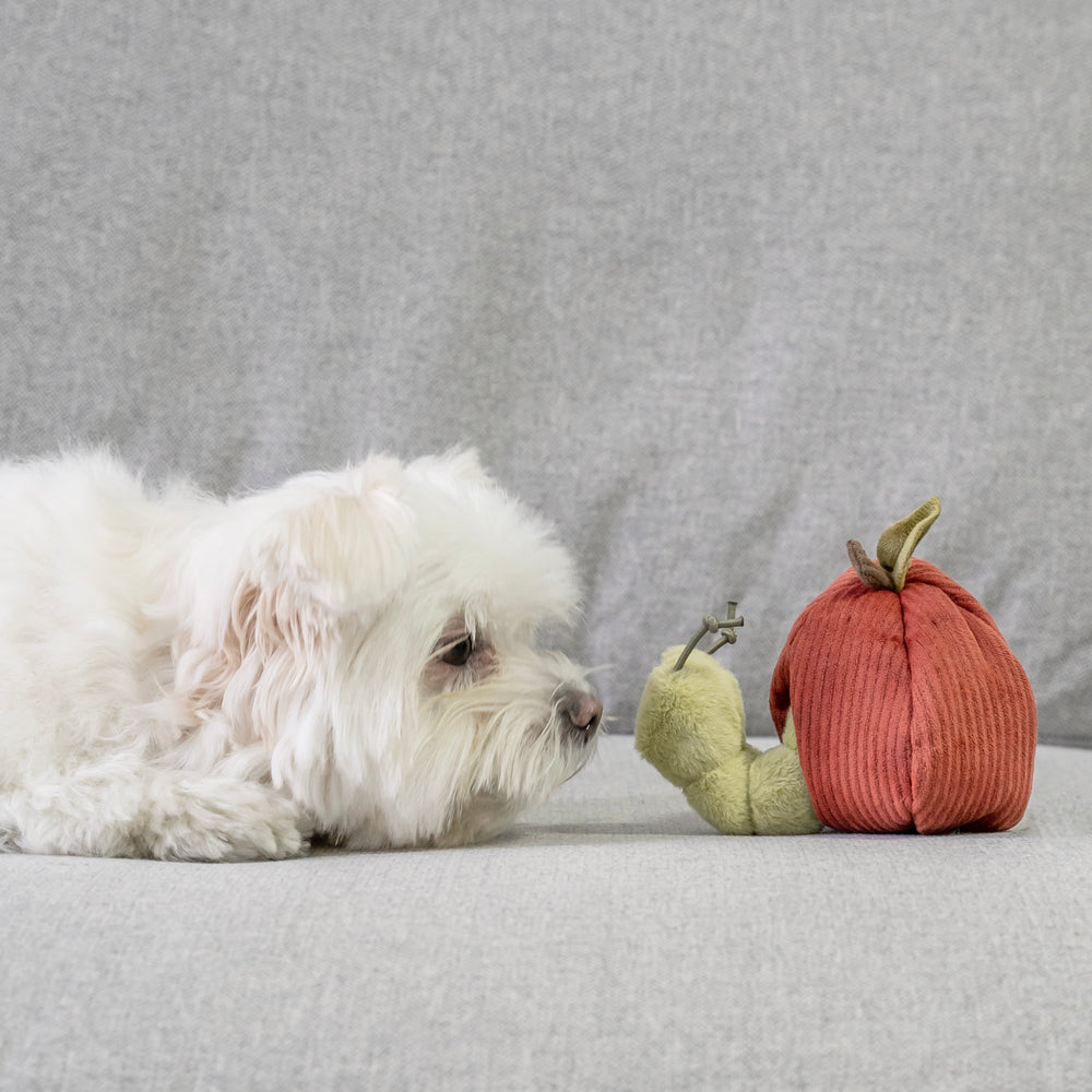 FRUIT PLAY SET- Enrichment Dog Toy