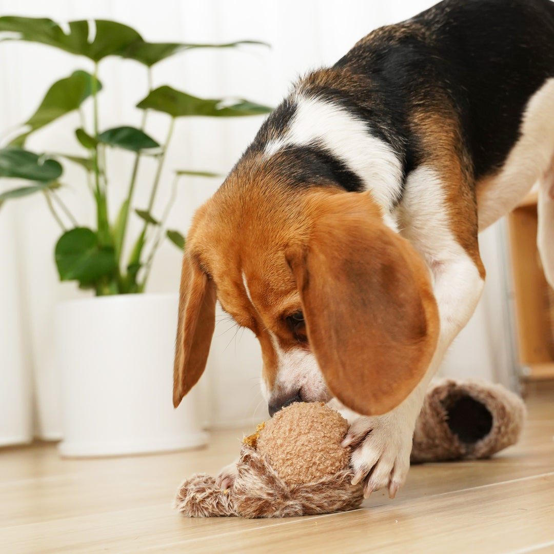 SQUIRREL POP - Enrichment and Interactive Dog Toy | Puzzle Dog Toy ...