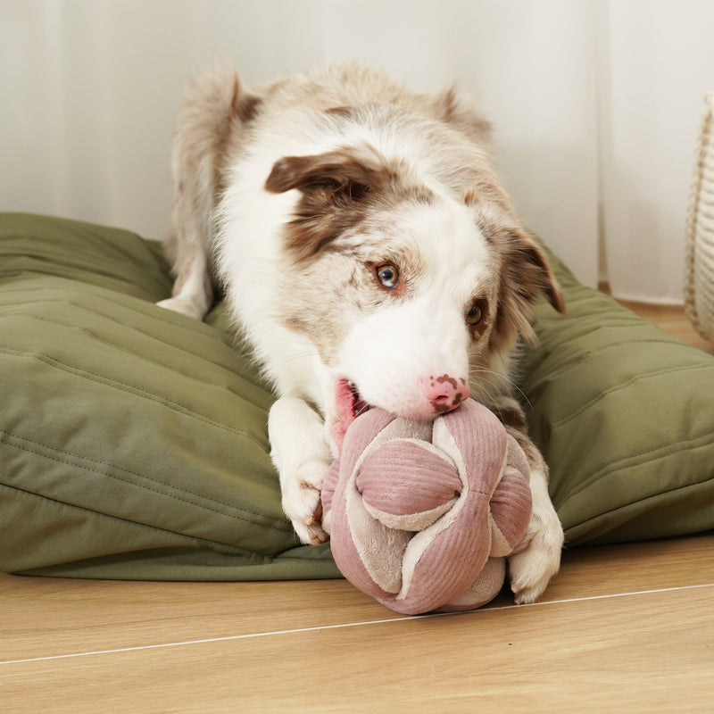MONTI - S - Enrichment and Interactive Dog Toy | Puzzle Dog Toy ...