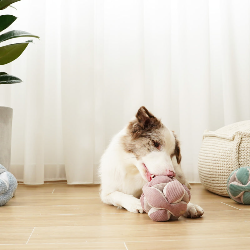 MONTI - S - Enrichment and Interactive Dog Toy | Puzzle Dog Toy ...