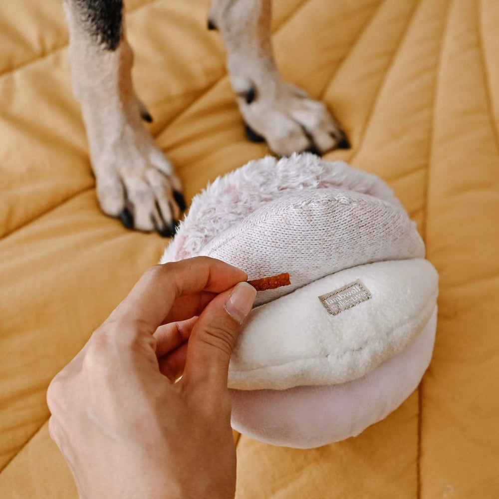 TOTO - Enrichment and Interactive Dog Toy | Puzzle Dog Toy