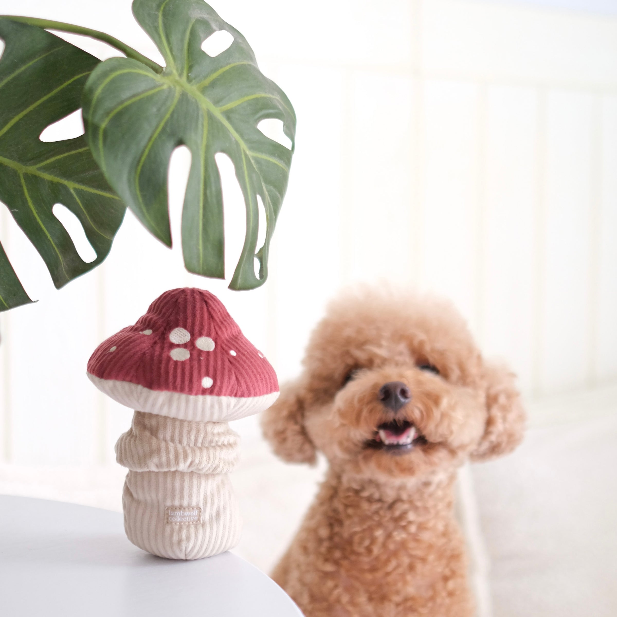 SHROOM - Enrichment and Interactive Dog Toy | Puzzle Dog Toy