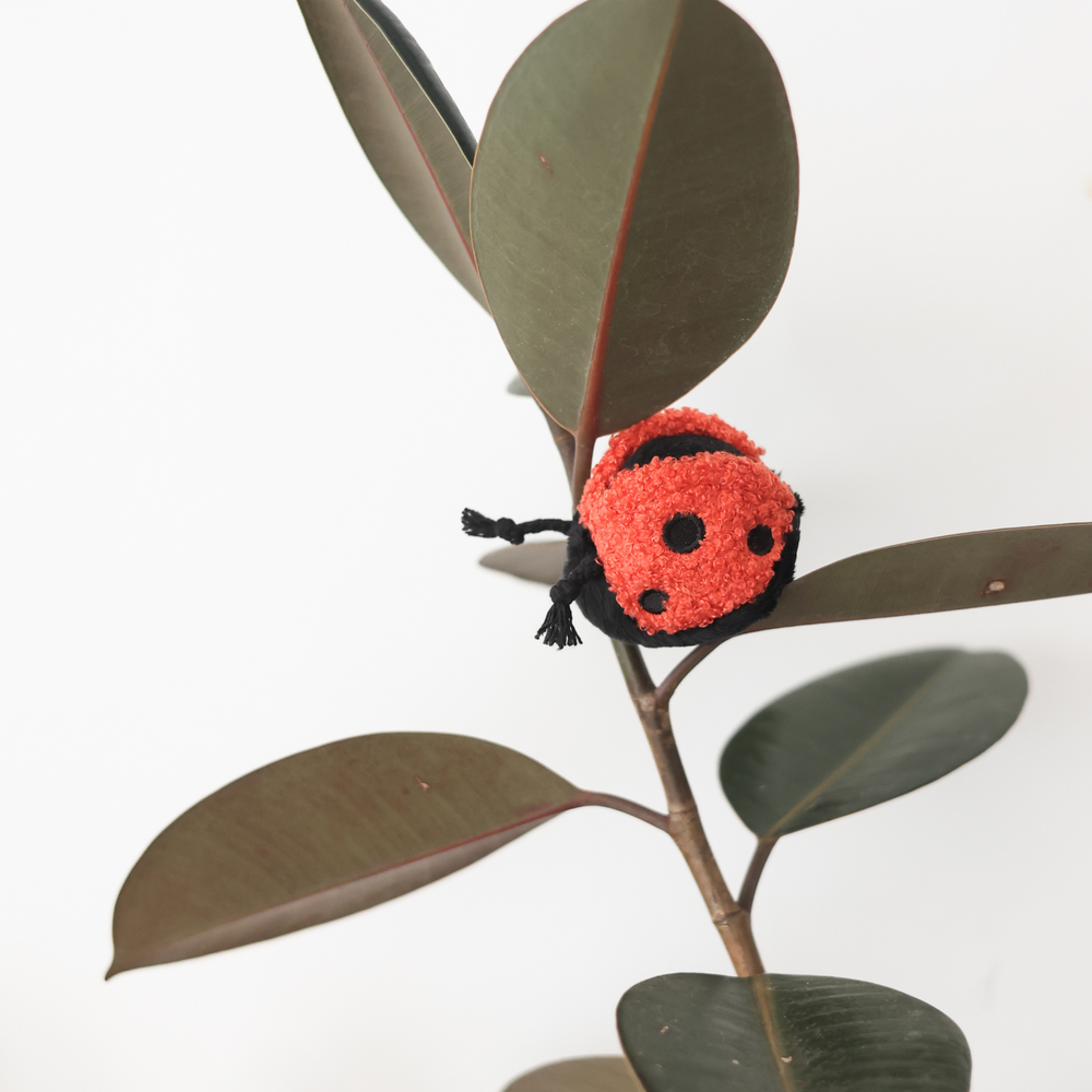 LADYBUG POP - Enrichment and Interactive Dog Toy | Puzzle Dog Toy