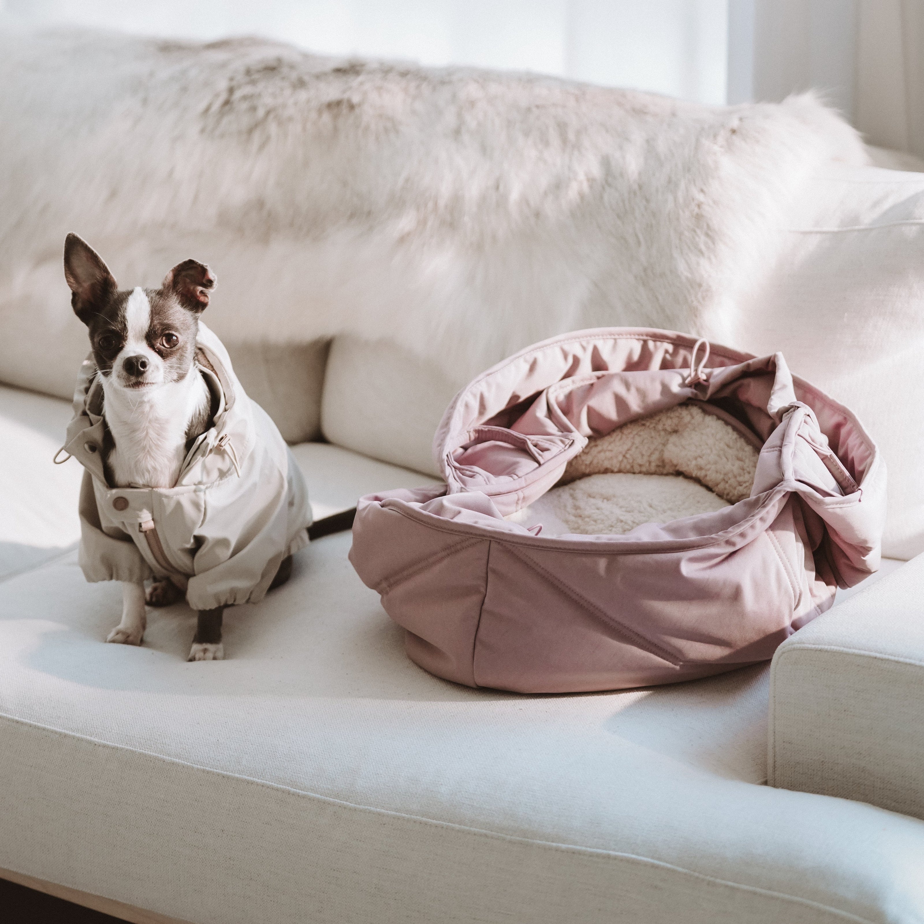 BRIGHTON - Dog Clothes | Dog Apparel | Dog Raincoat
