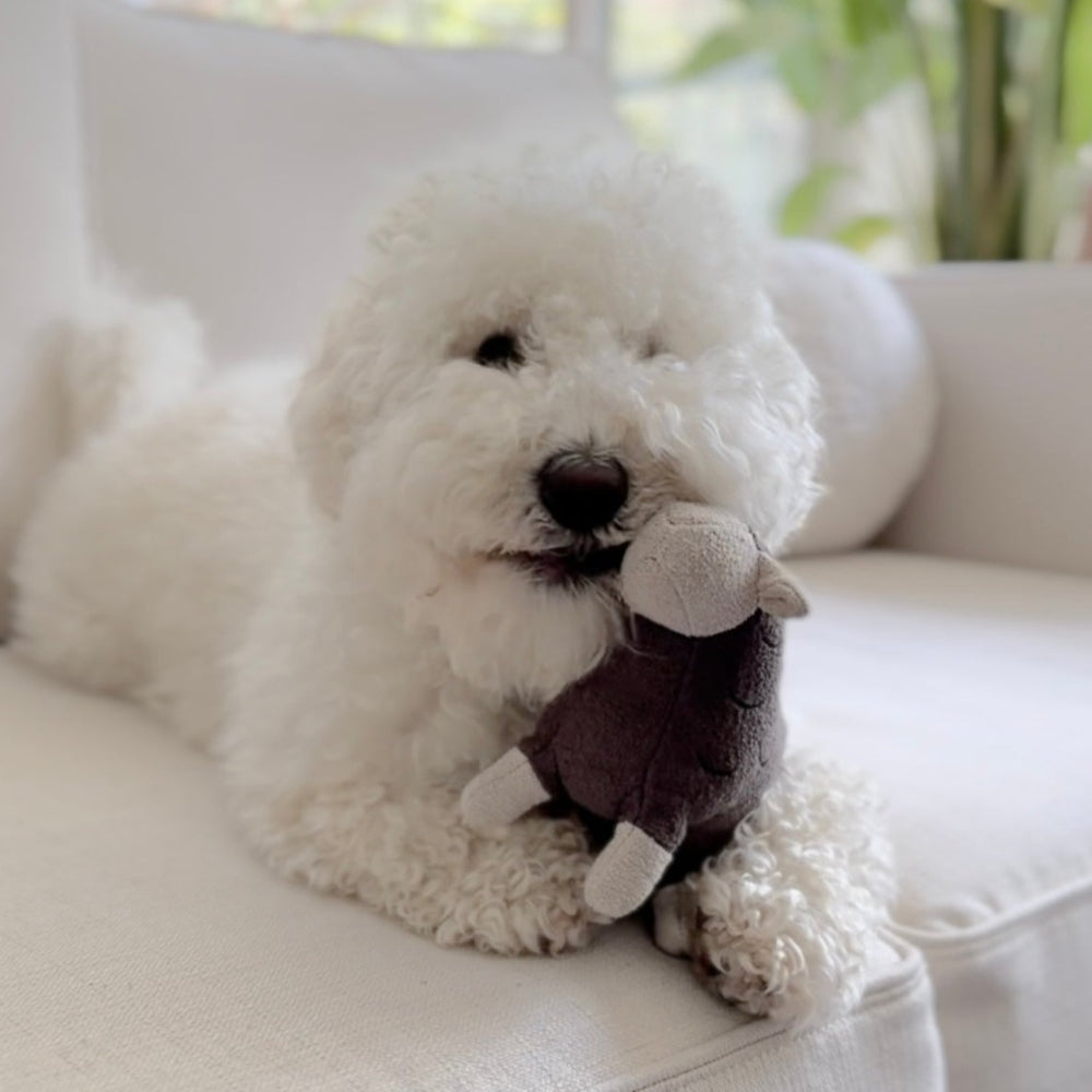 BARRY - Enrichment and Interactive Dog Toy | Puzzle Cat Toy