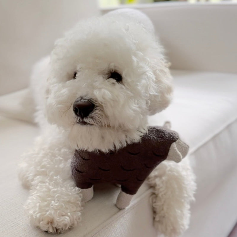 BARRY - Enrichment and Interactive Dog Toy | Puzzle Cat Toy