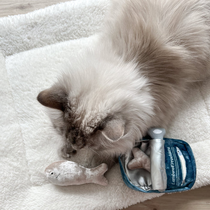 Play Objects