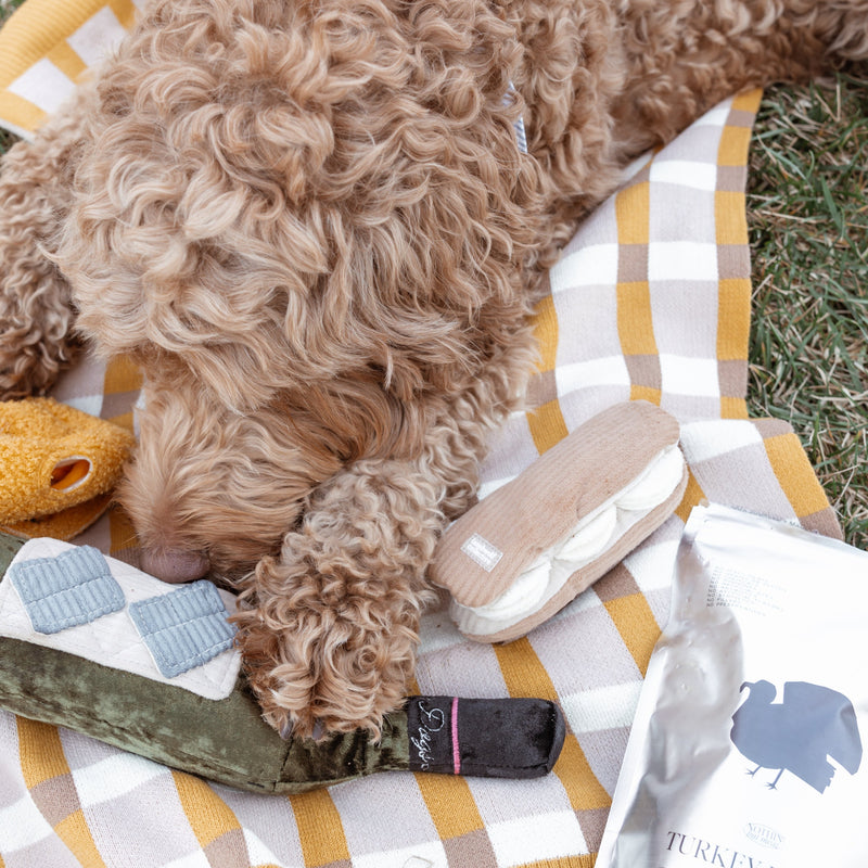 ECLAIR - Enrichment and Interactive Dog Toy | Puzzle Dog Toy – Lambwolf ...