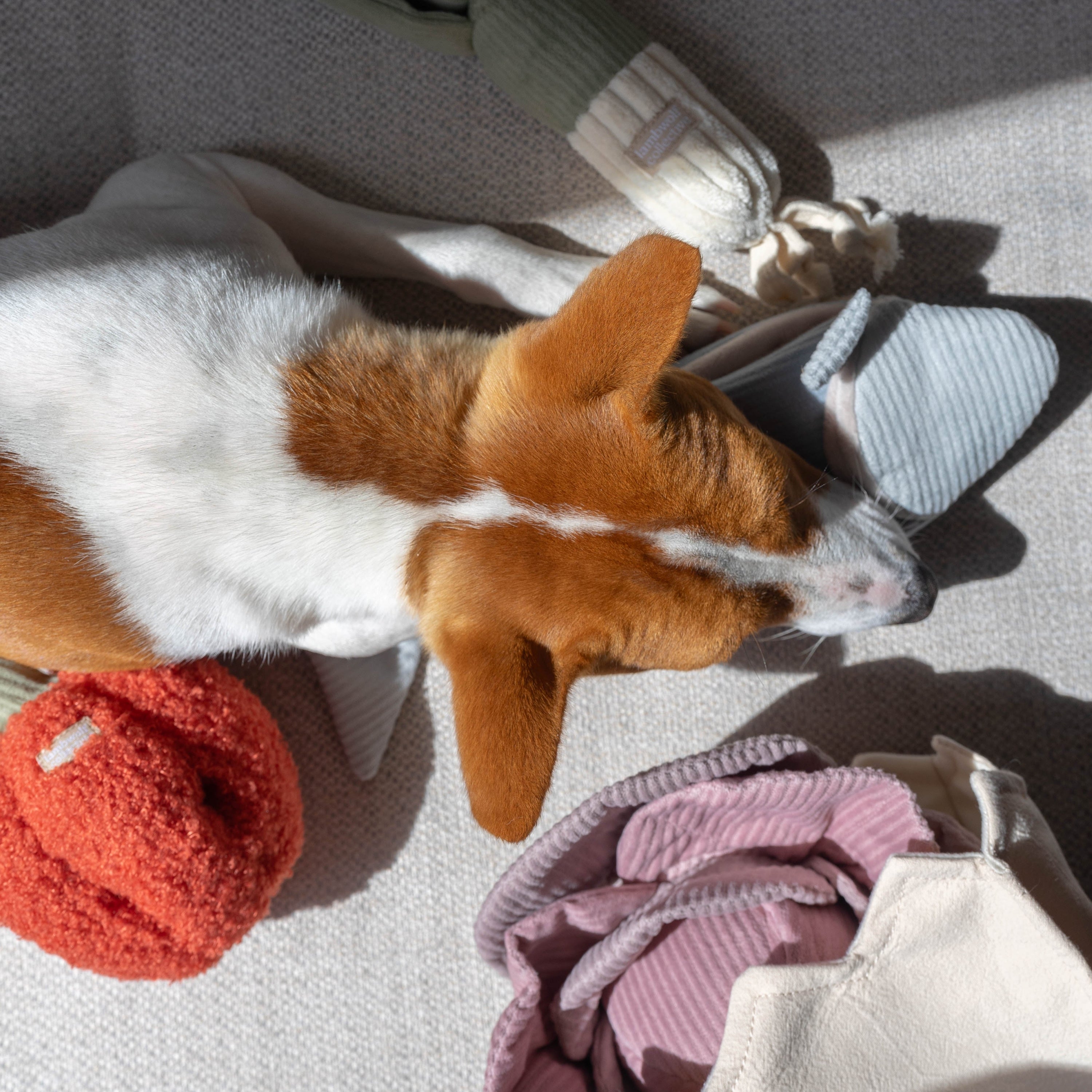 PEPPER - Enrichment and Interactive Dog Toy