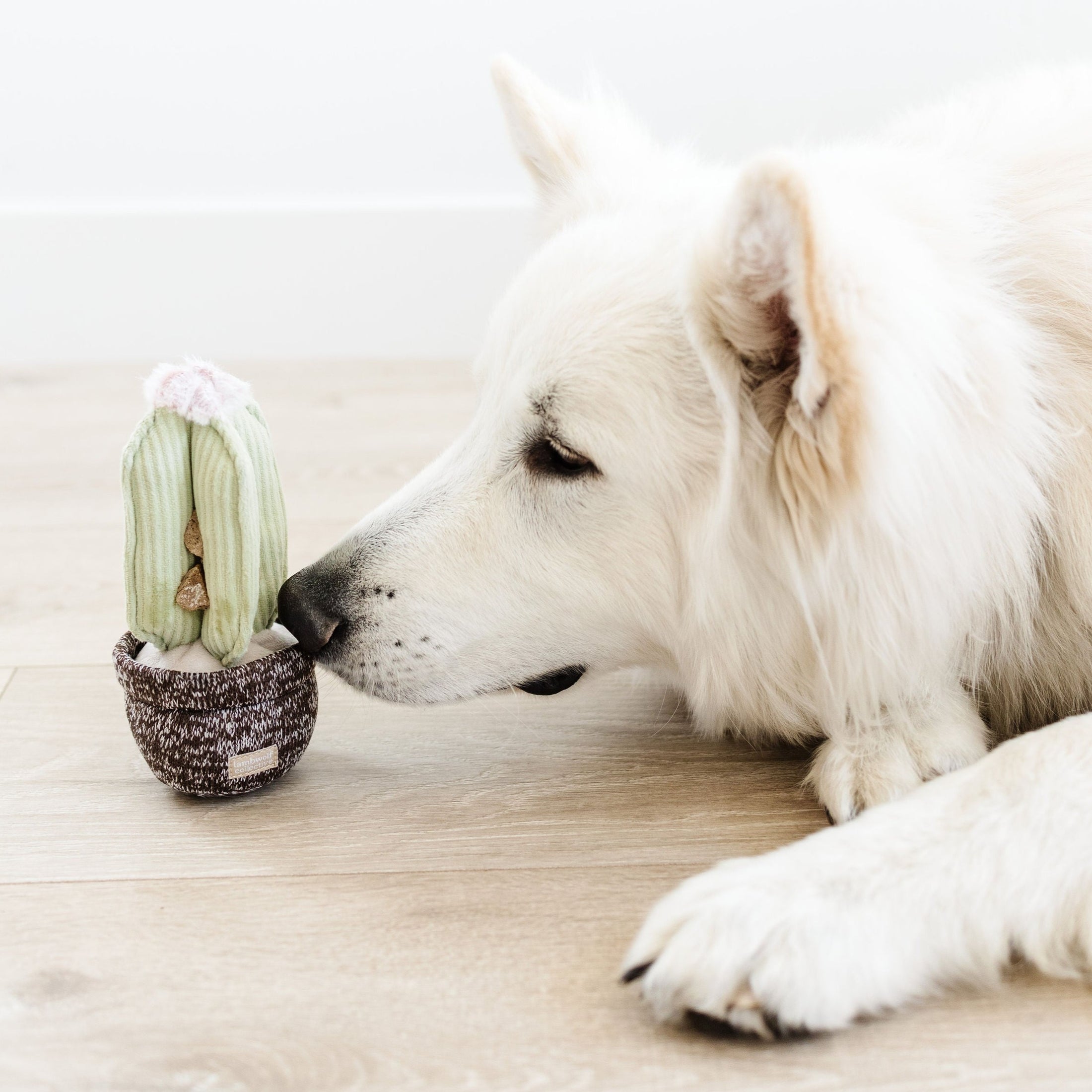CACTUS - Enrichment and Interactive Dog Toy | Puzzle Dog Toy