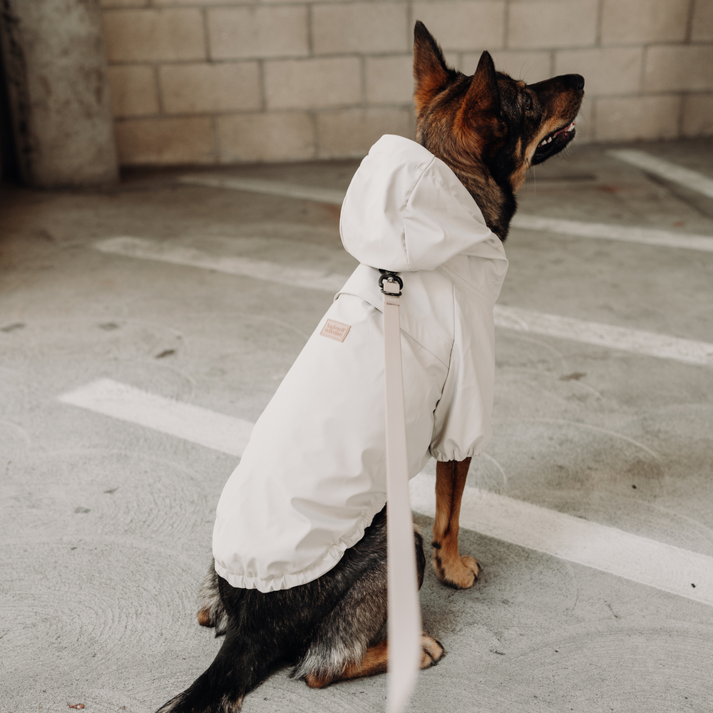 BRIGHTON - Dog Clothes | Dog Apparel | Dog Raincoat
