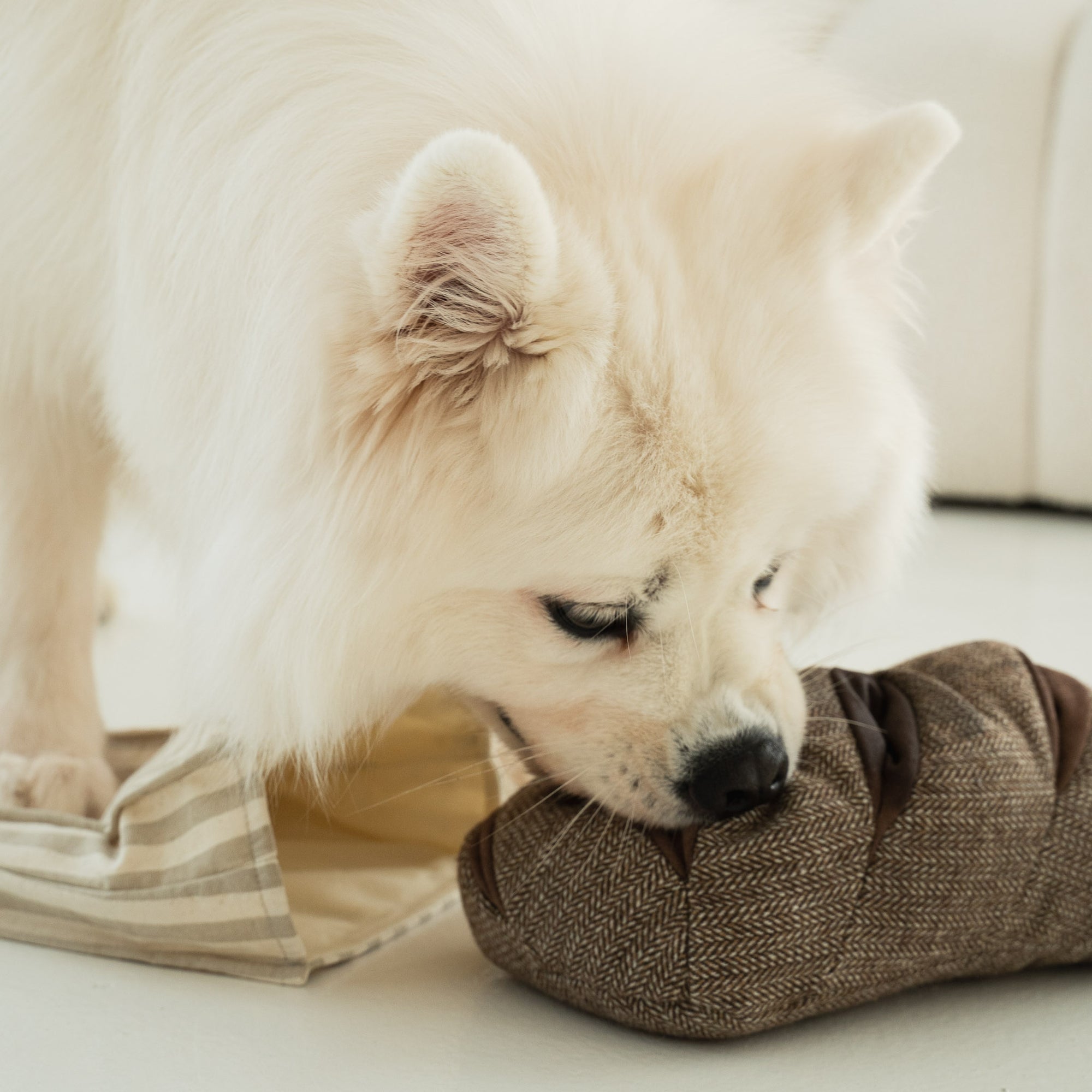 RYE - Enrichment and Interactive Dog Toy | Puzzle Dog Toy