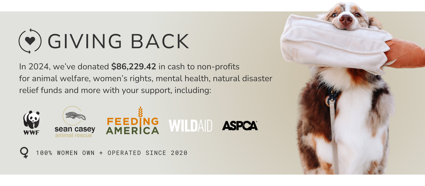 SUBWAY - Dog Carrier | Pet Carrier