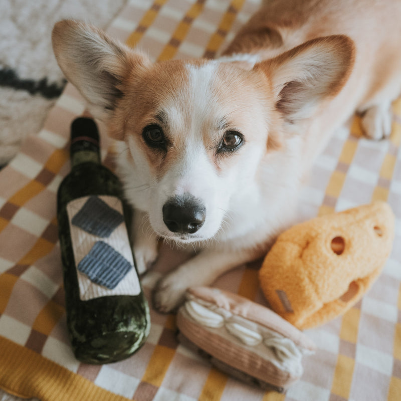 MERLOT - Enrichment and Interactive Dog Toy | Puzzle Dog Toy – Lambwolf ...