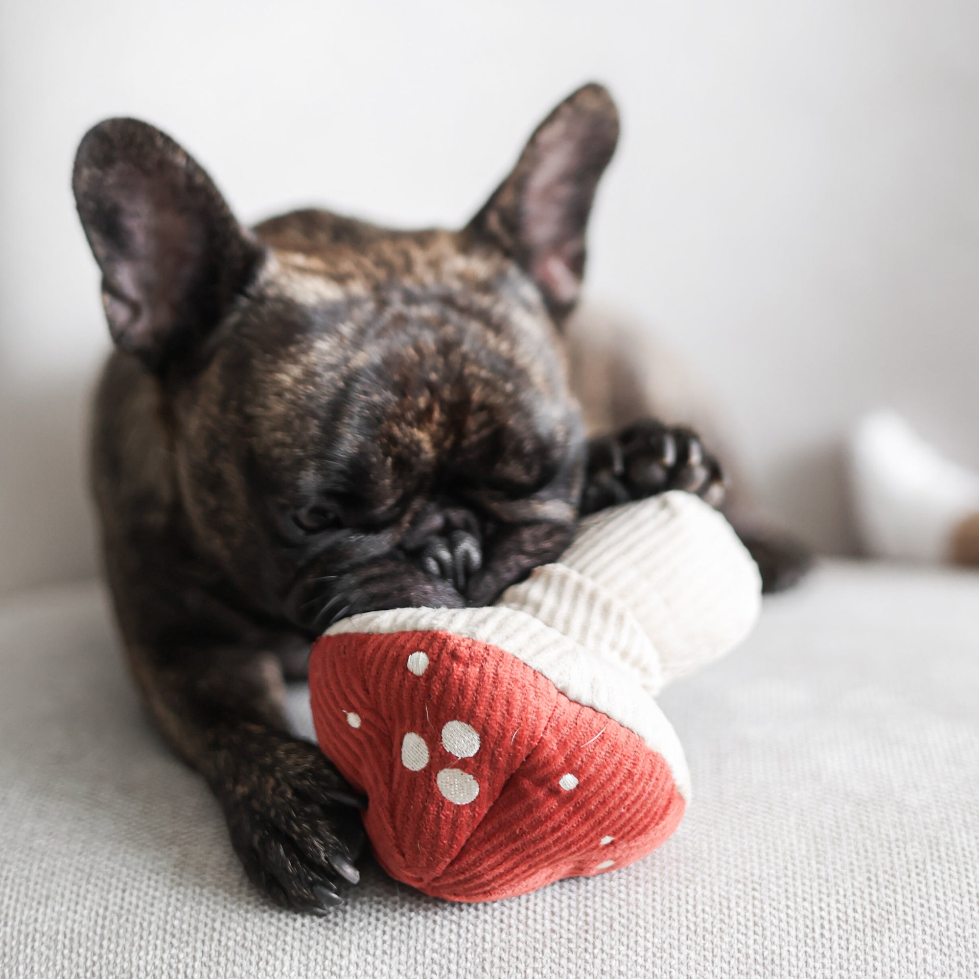 SHROOM - Enrichment and Interactive Dog Toy | Puzzle Dog Toy