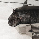 SUBWAY - Dog Carrier | Pet Carrier
