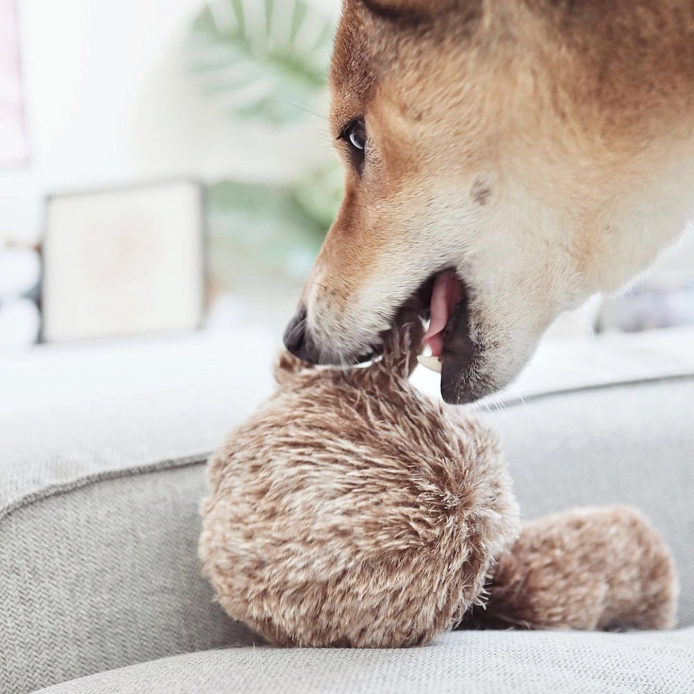 SQUIRREL POP - Enrichment and Interactive Dog Toy | Puzzle Dog Toy