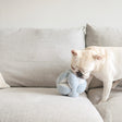 MONTI - Enrichment and Interactive Dog Toy | Puzzle Dog Toy