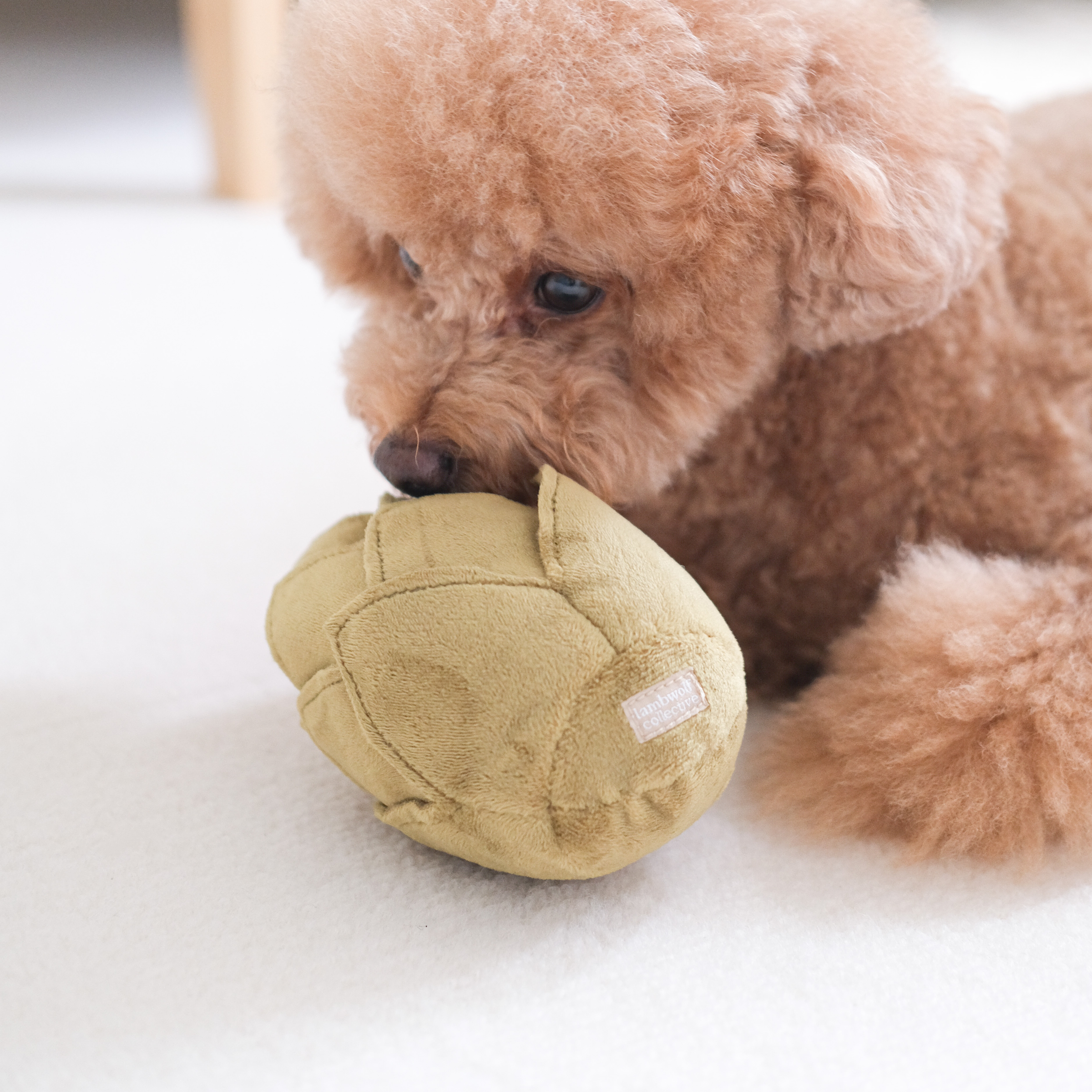 ARTICHOKE - Enrichment and Interactive Dog Toy | Puzzle Dog Toy