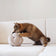 MONTI - Enrichment and Interactive Dog Toy | Puzzle Dog Toy