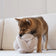 MONTI - Enrichment and Interactive Dog Toy | Puzzle Dog Toy
