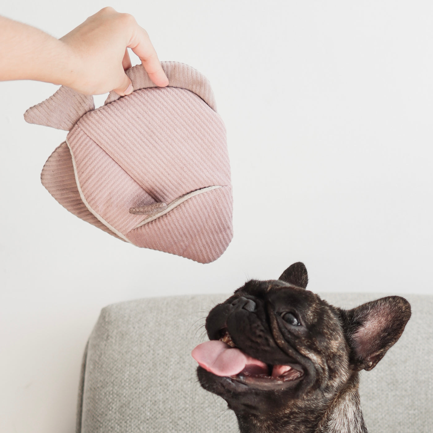 ANGEL FISH - Enrichment and Interactive Dog Toy | Puzzle Dog Toy